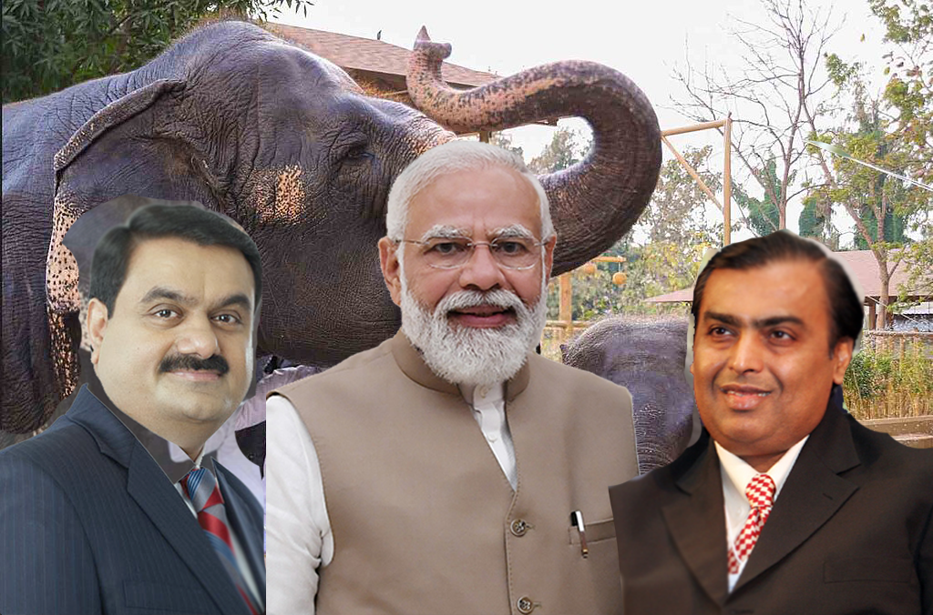 News - 75,000 Endangered and Exotic Animals, SLAPP Suits, and Zero ...